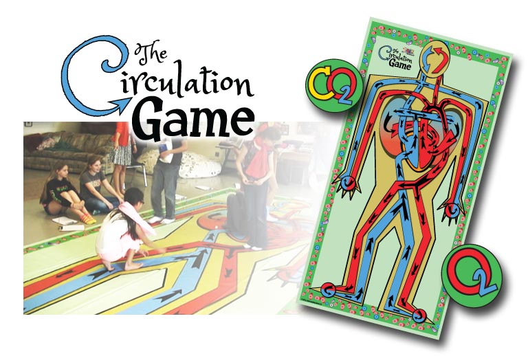 The Circulation Game – Active Learning Games